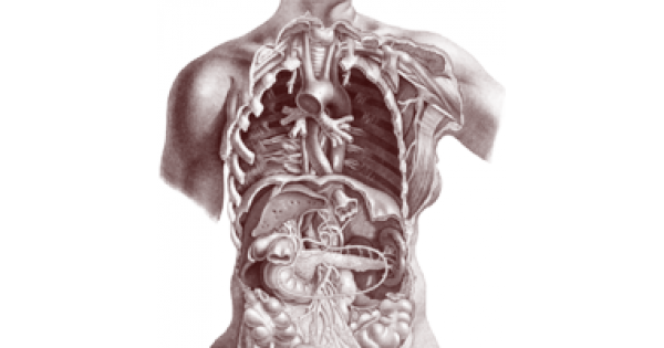 Ghiduri de practica medicala pentru specialitatea Anatomie patologică
