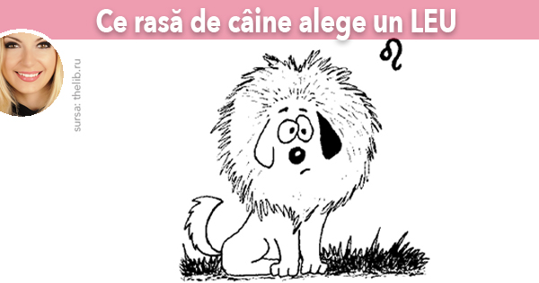 Ce rasa de caine alege un Leu