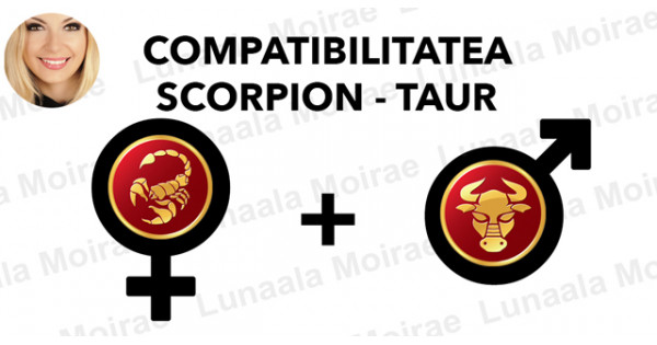 Compatibilitatea Scorpion - Taur în dragoste si casatorie
